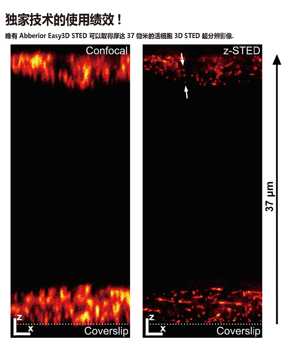 SR STAR 上海宇北医疗器械有限公司
