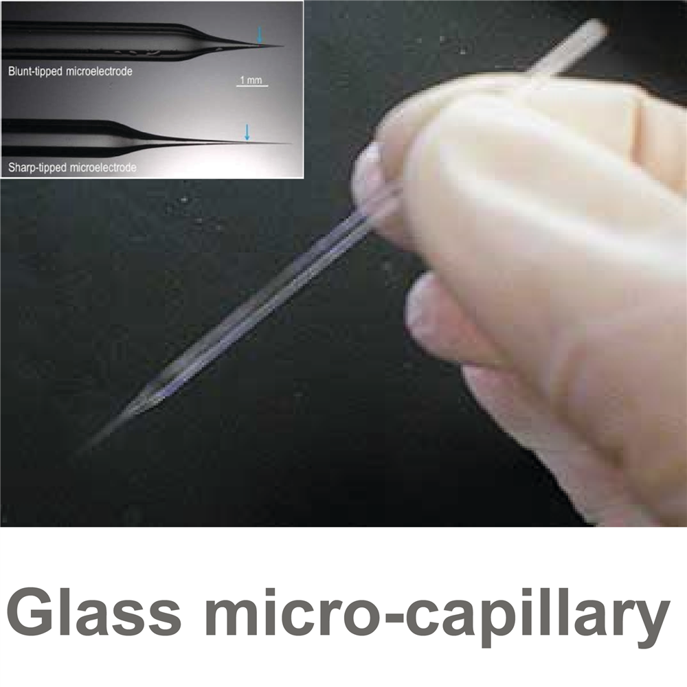 SR STAR 上海宇北医疗器械有限公司